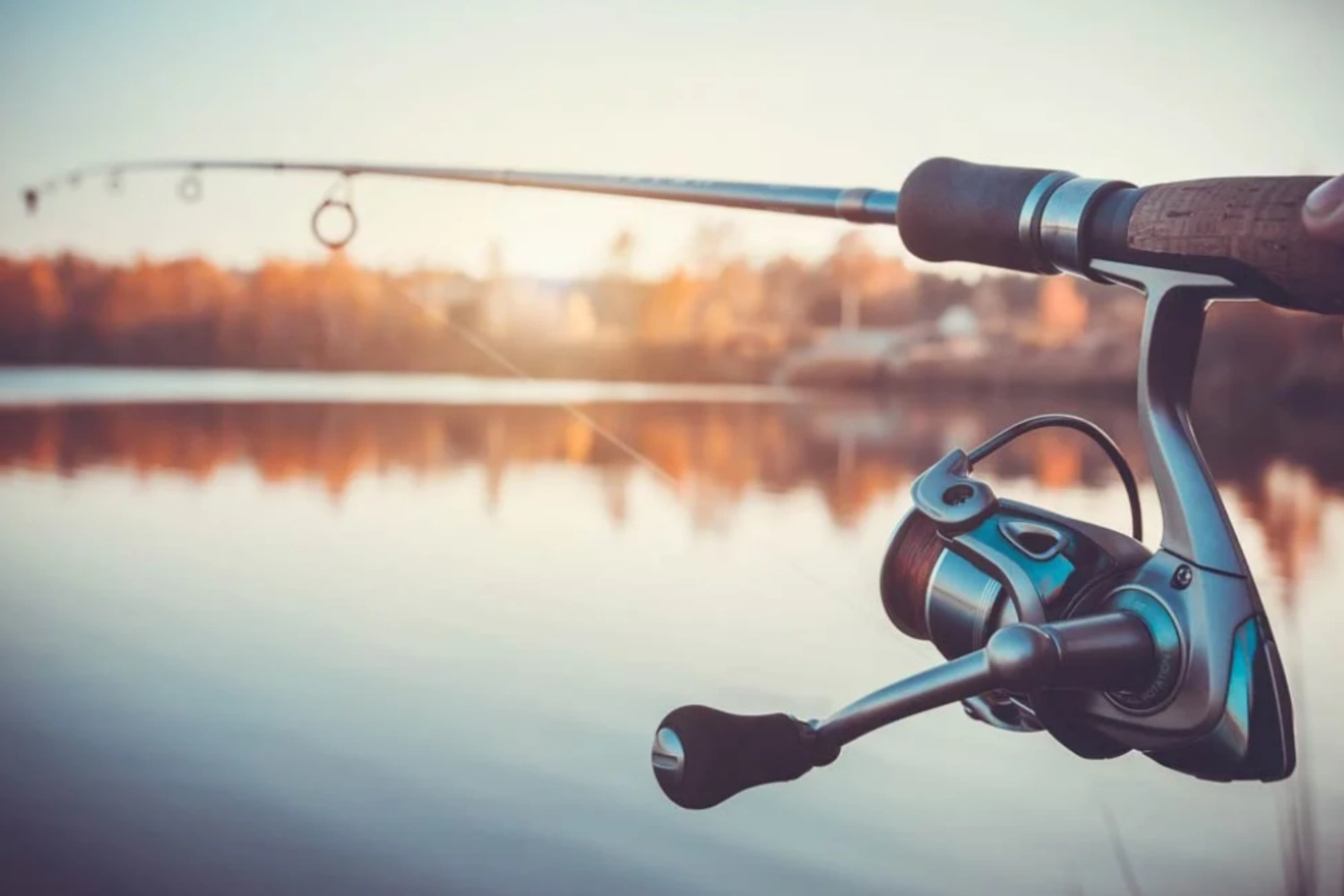 Different Types of Fishing Rods and How They Affect Performance - Sale ...