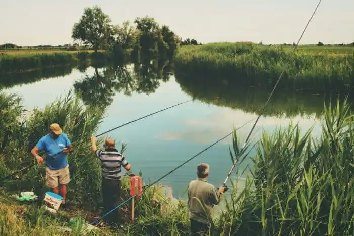 Advantages and Disadvantages of Telescopic Fishing Rods - Sale Fishing ...